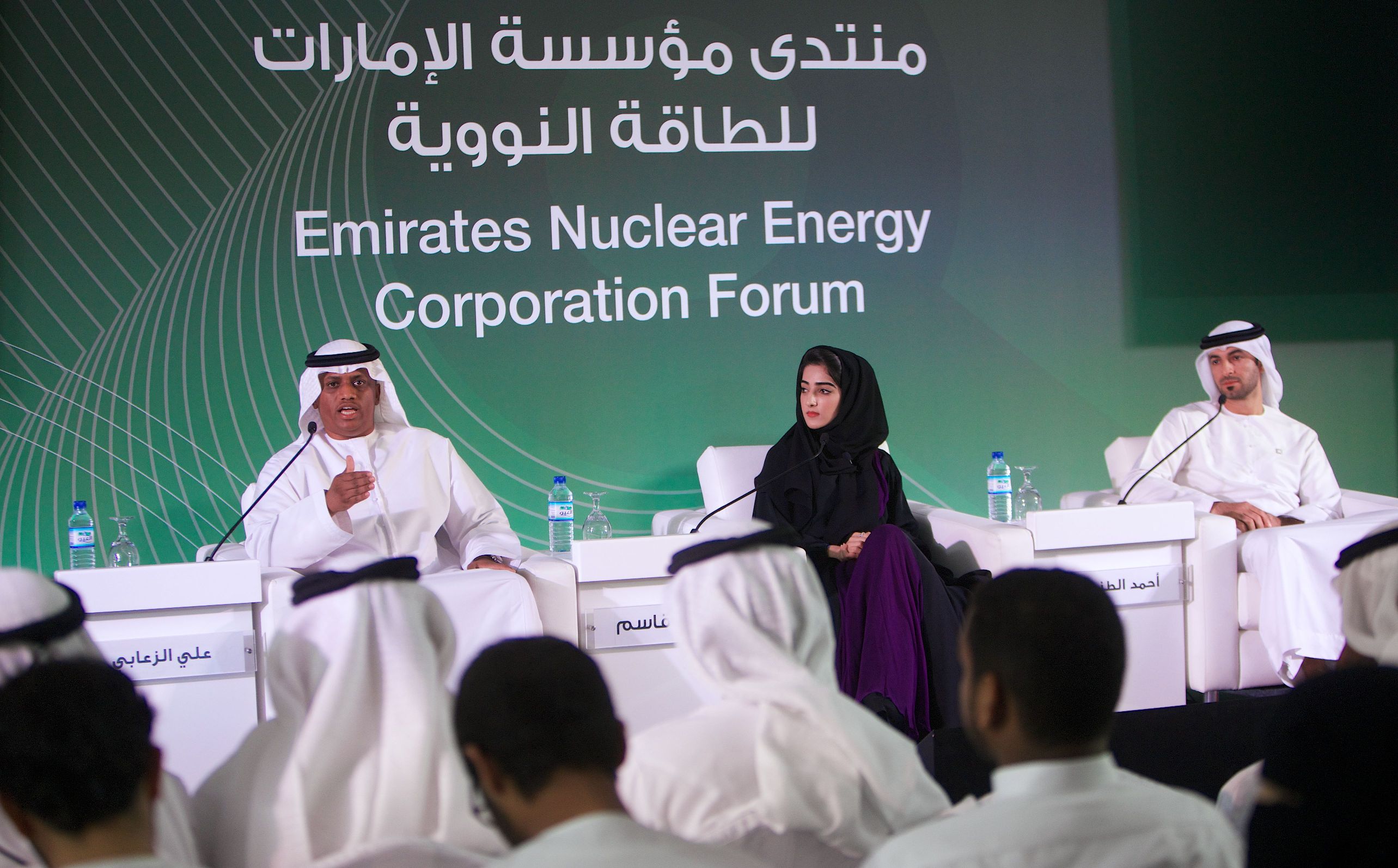 Emirates Nuclear Status Attains Global Recognition - Egypt Oil & Gas