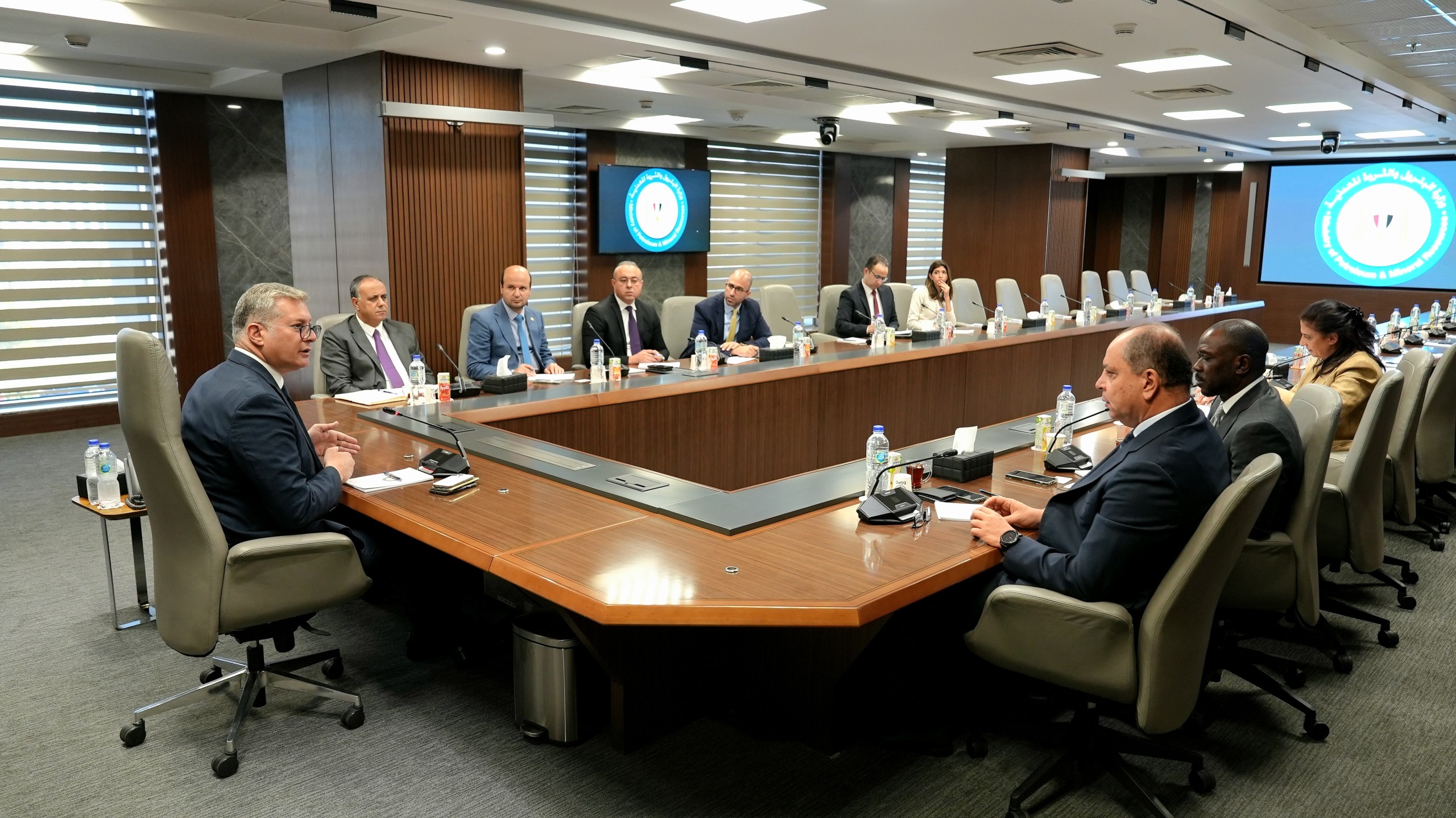 Egypt, AFC Discuss Deepening Cooperation in Petroleum, Mining Sectors ...